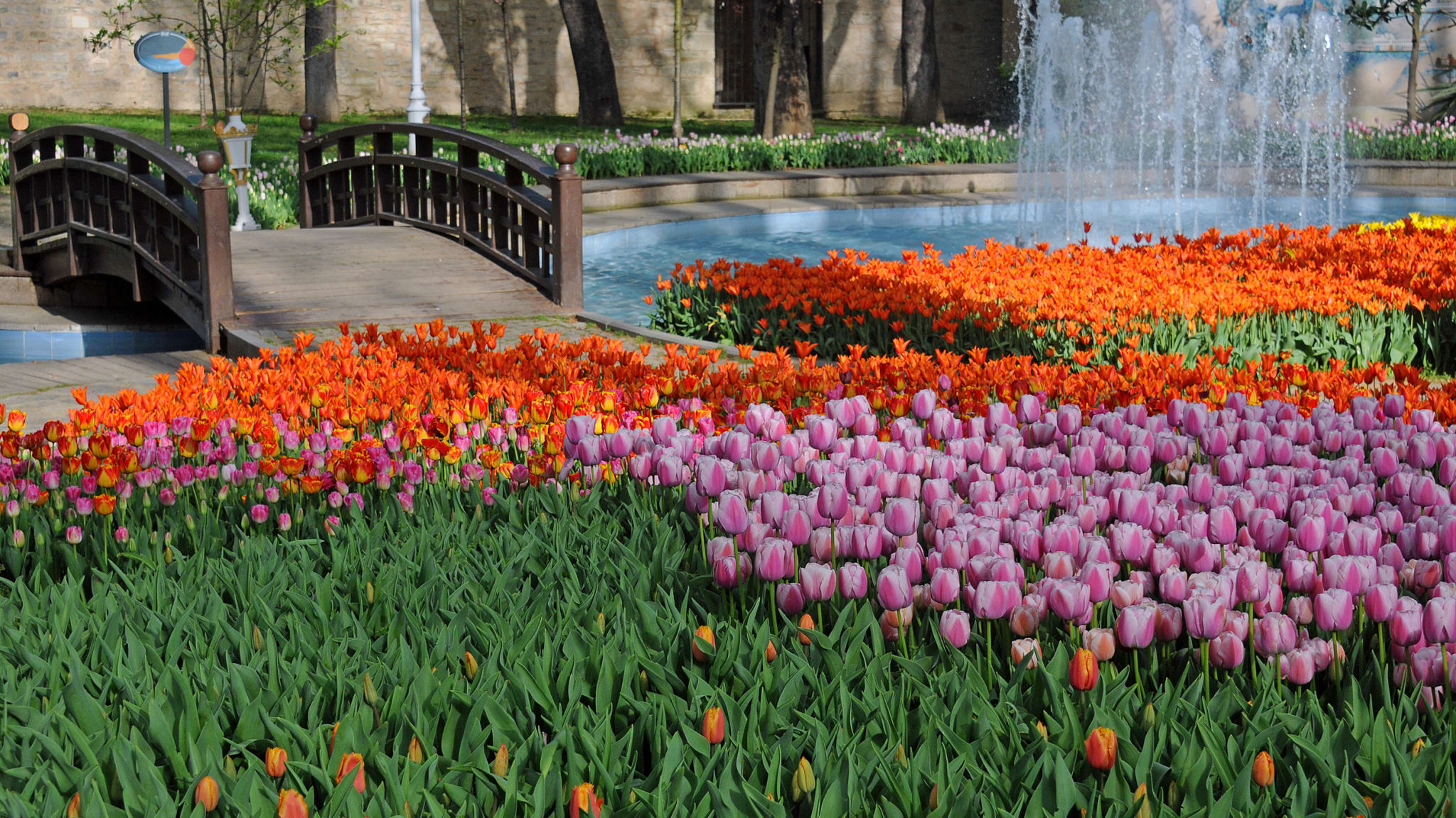 Bucket-List: Das solltest du in Istanbul unbedingt erlebt haben