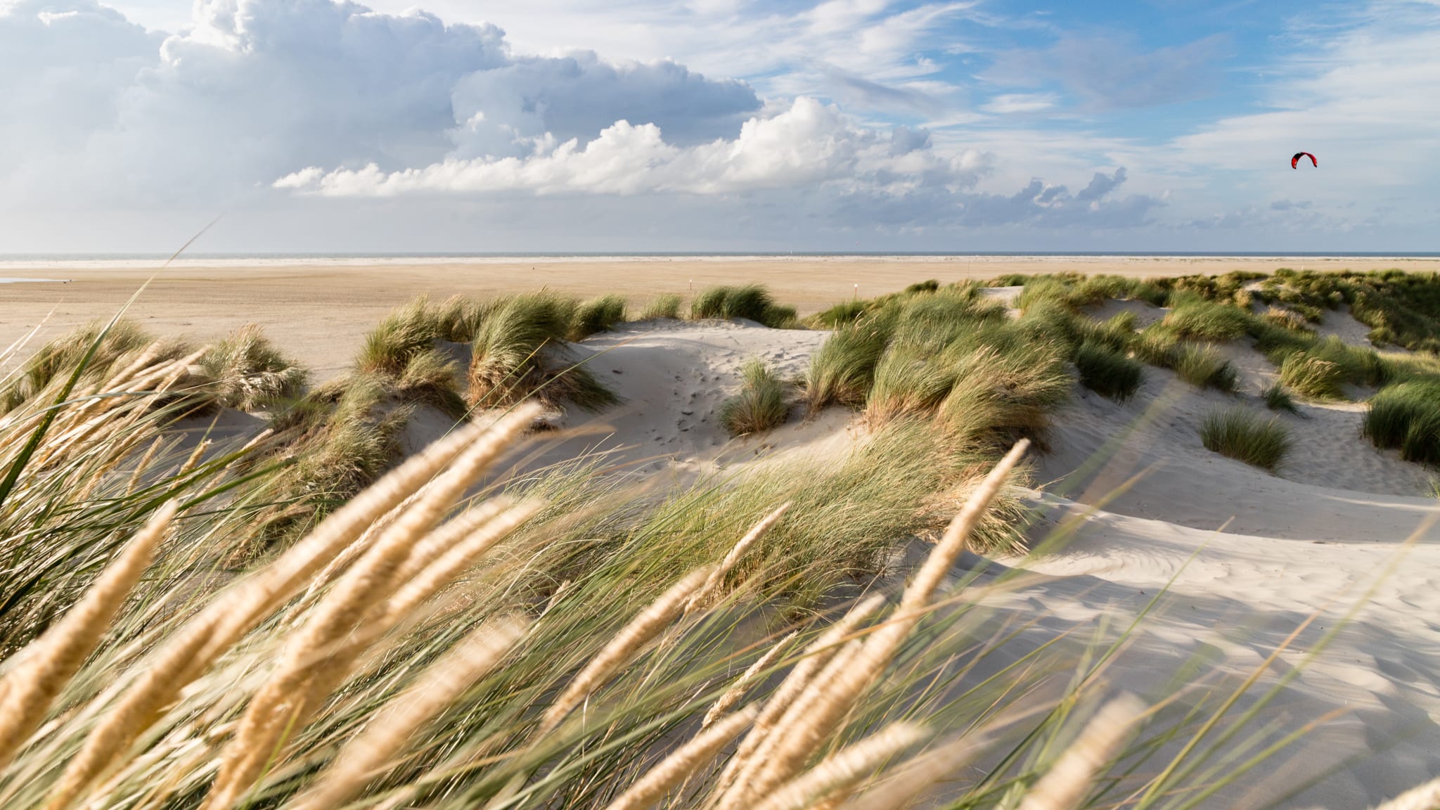 10 coole Partystrände in Deutschland