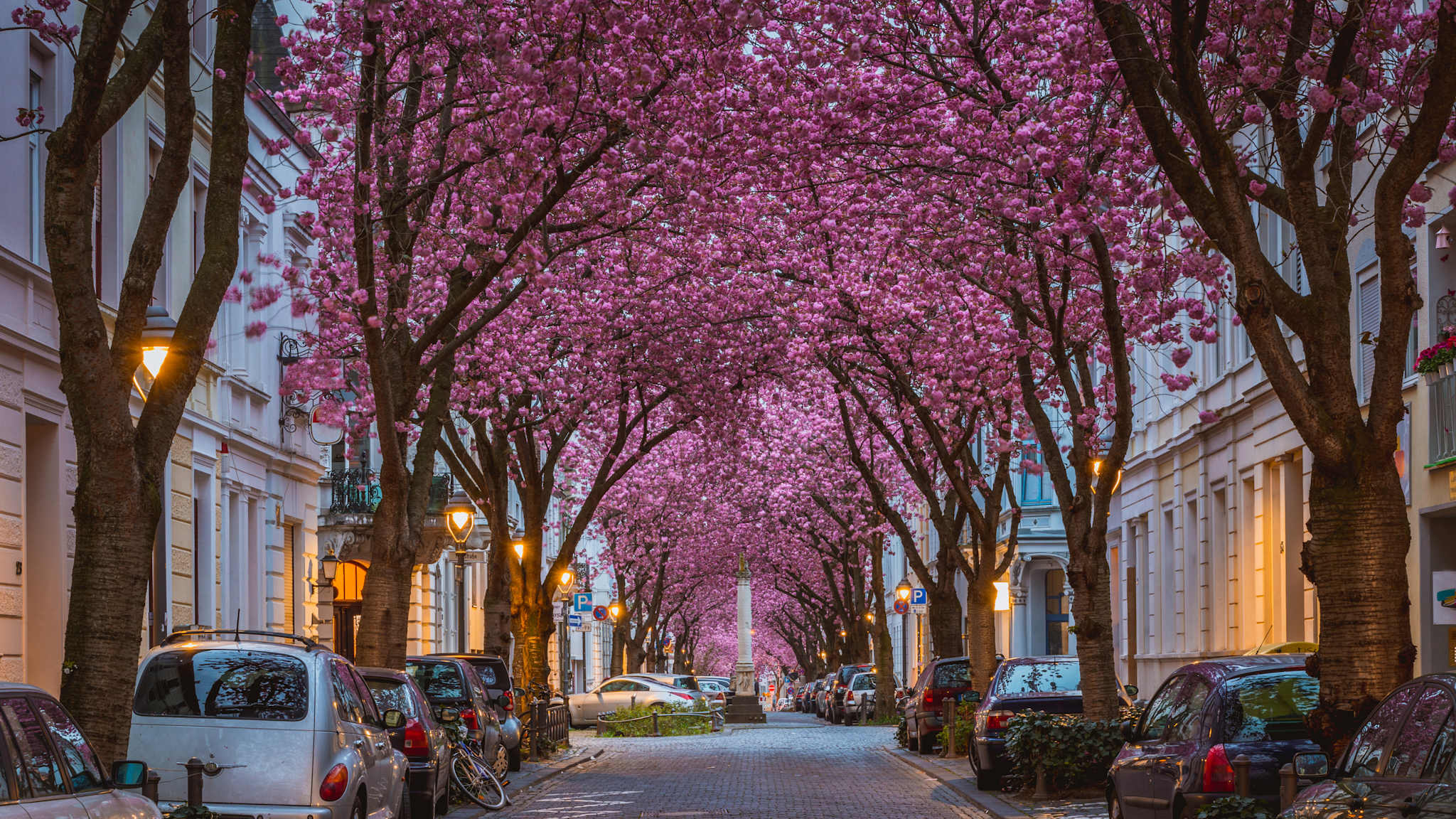 Konigswinterer Strasse Bonn