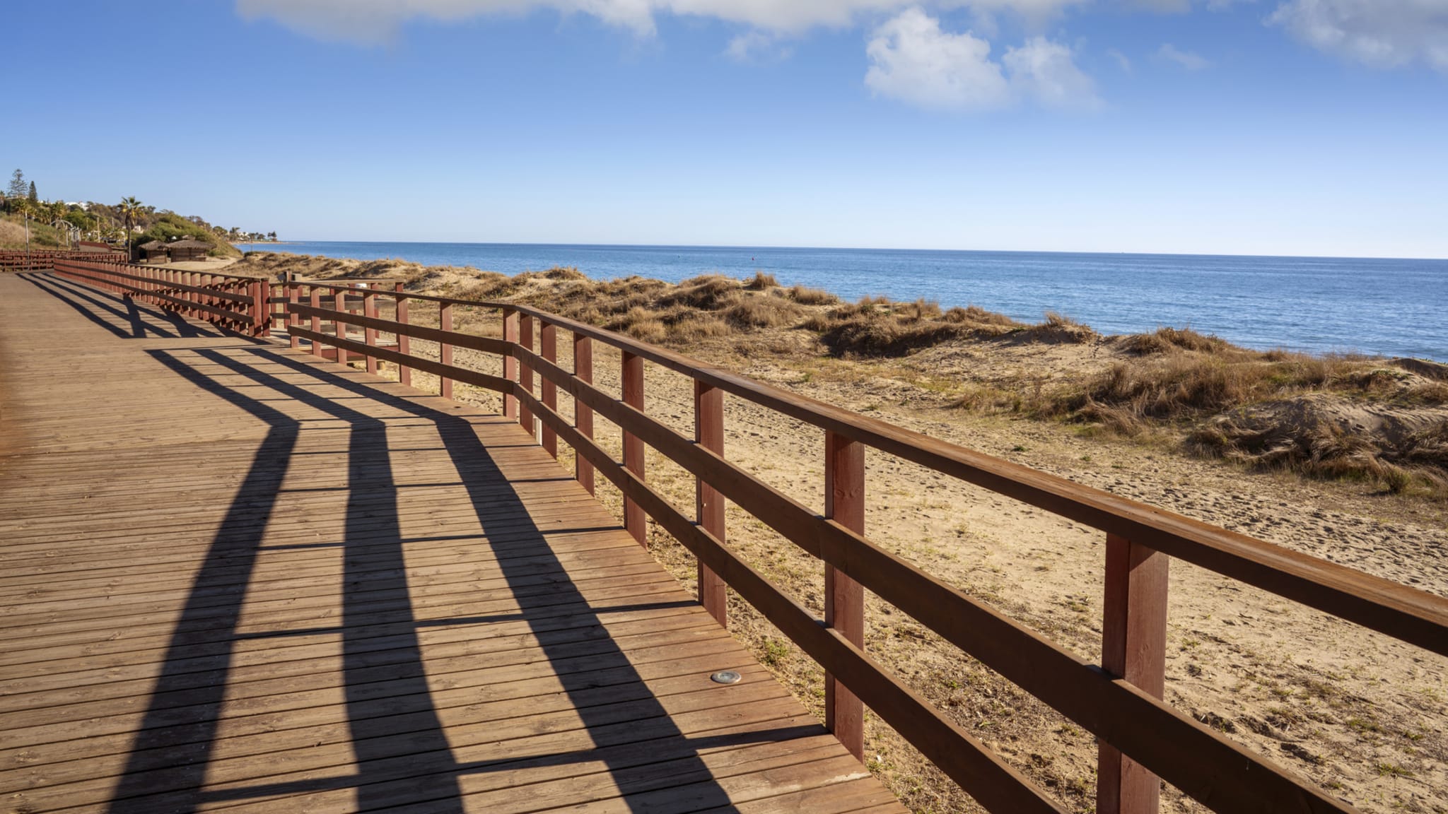 Die 9 besten Hundestrände in Spanien