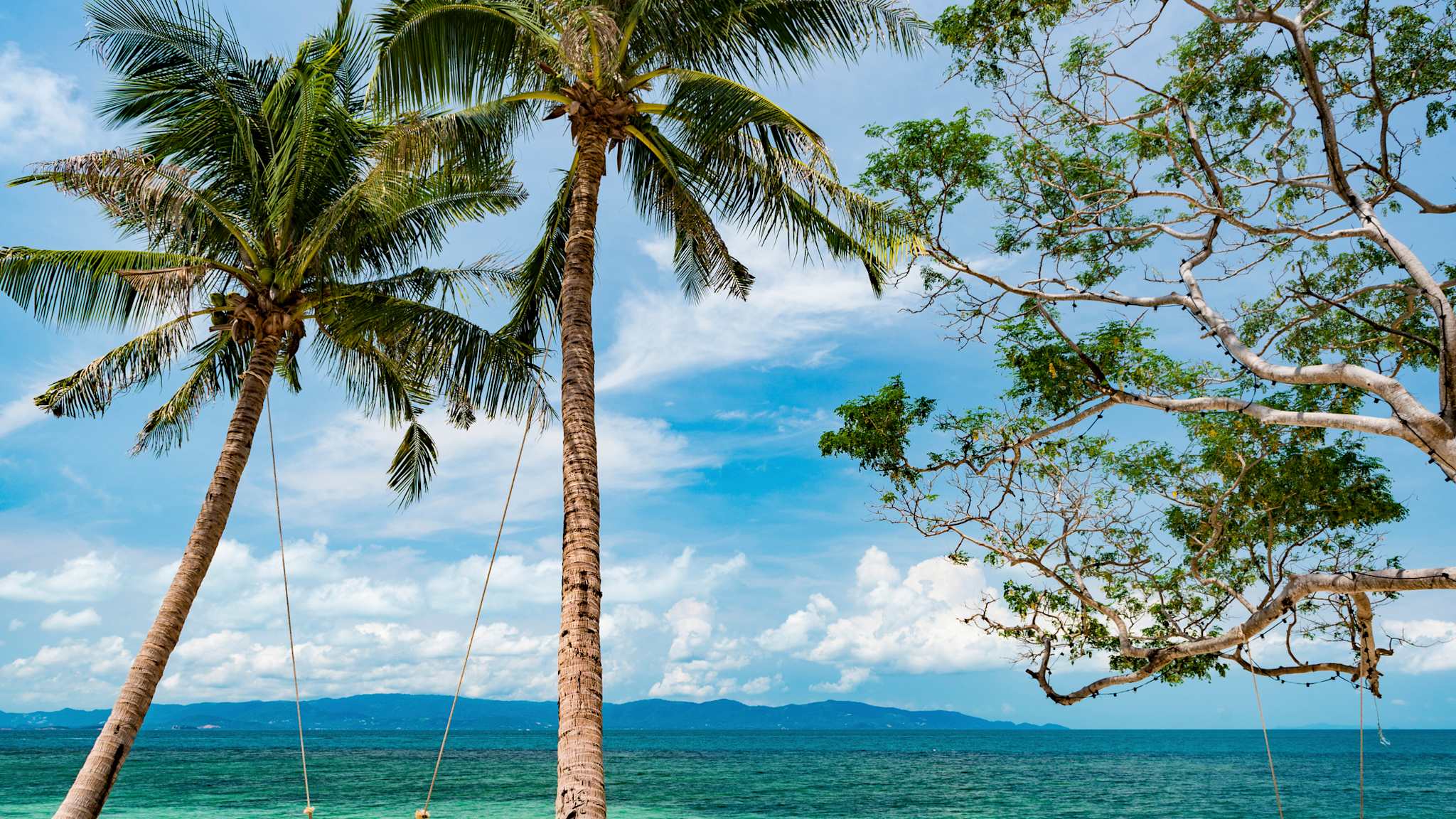 Brückentage 2026: 17 Ferientage = 38 freie Tage