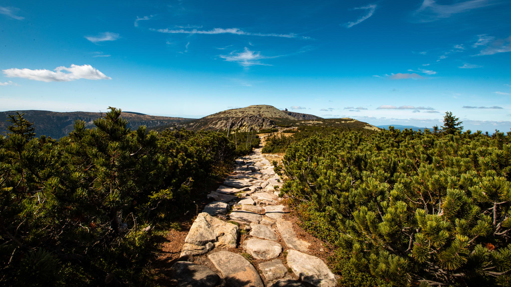 Die 4 schönsten Nationalparks in Tschechien