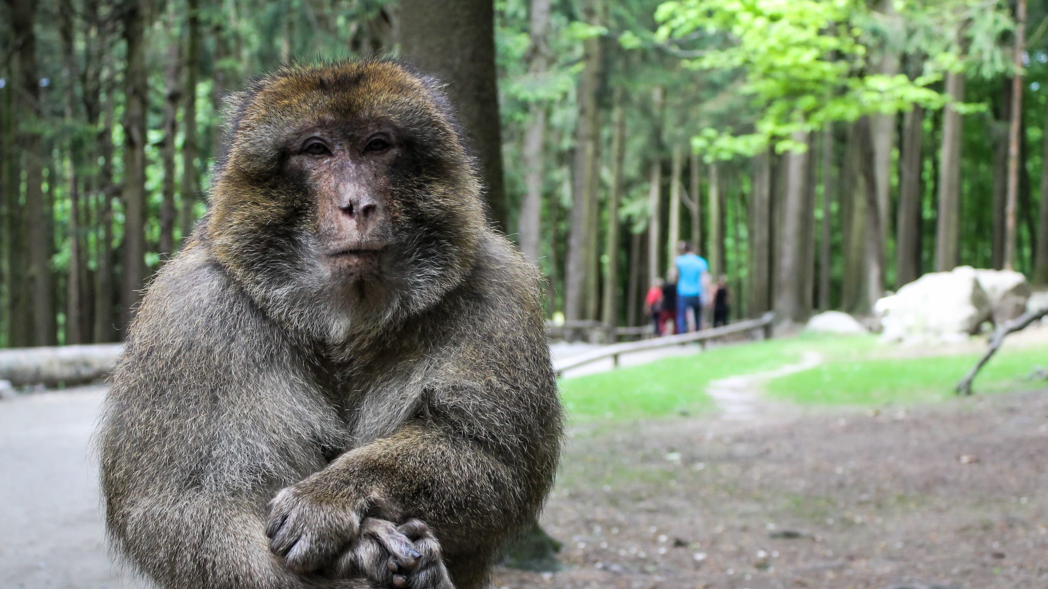 Ausflug mit der Familie am Bodensee: 10 Ausflugsziele im Überblick