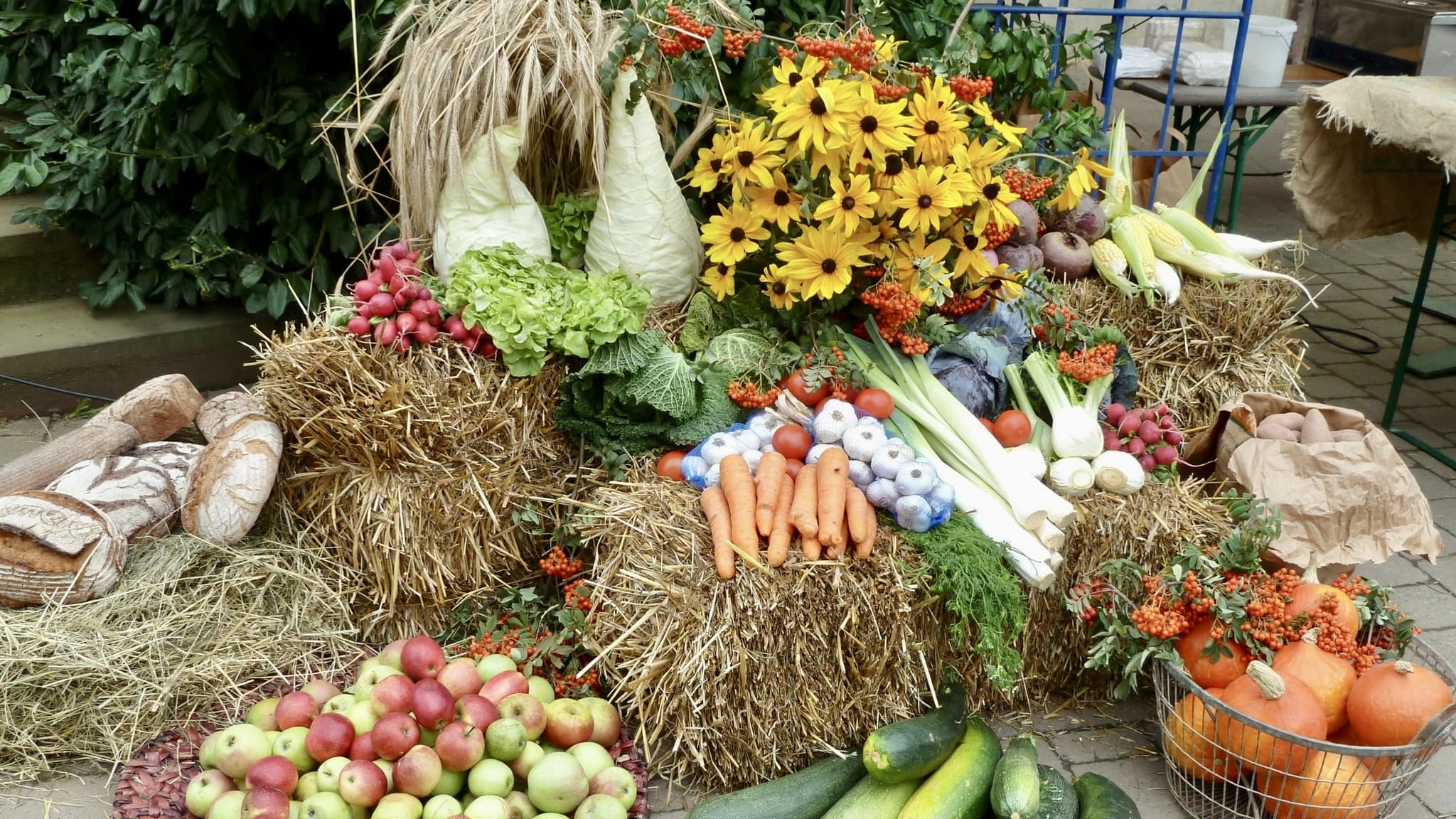 9 Herbstbräuche weltweit