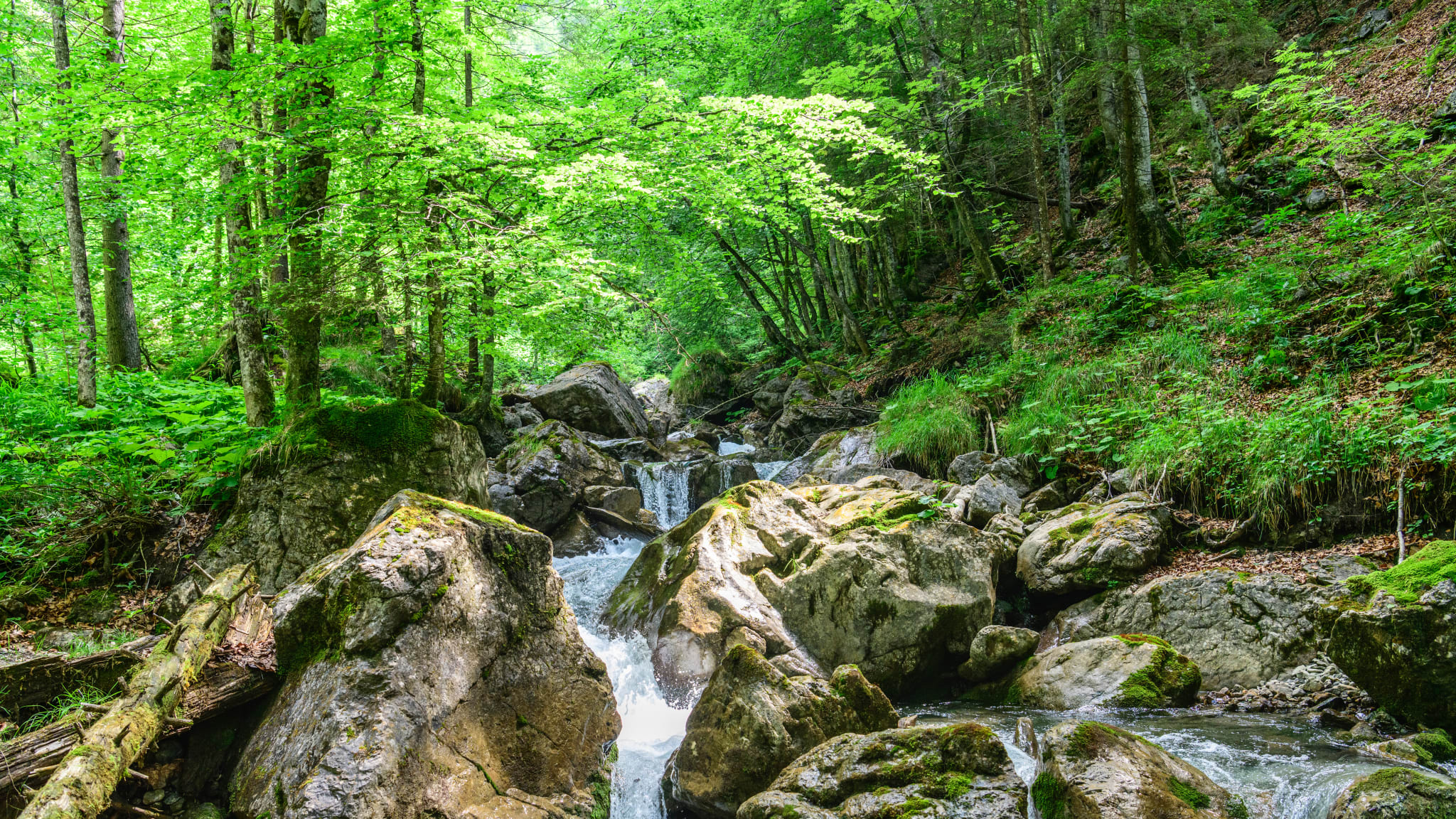 Familienurlaub: 10 schöne Wanderungen im Salzburger Land