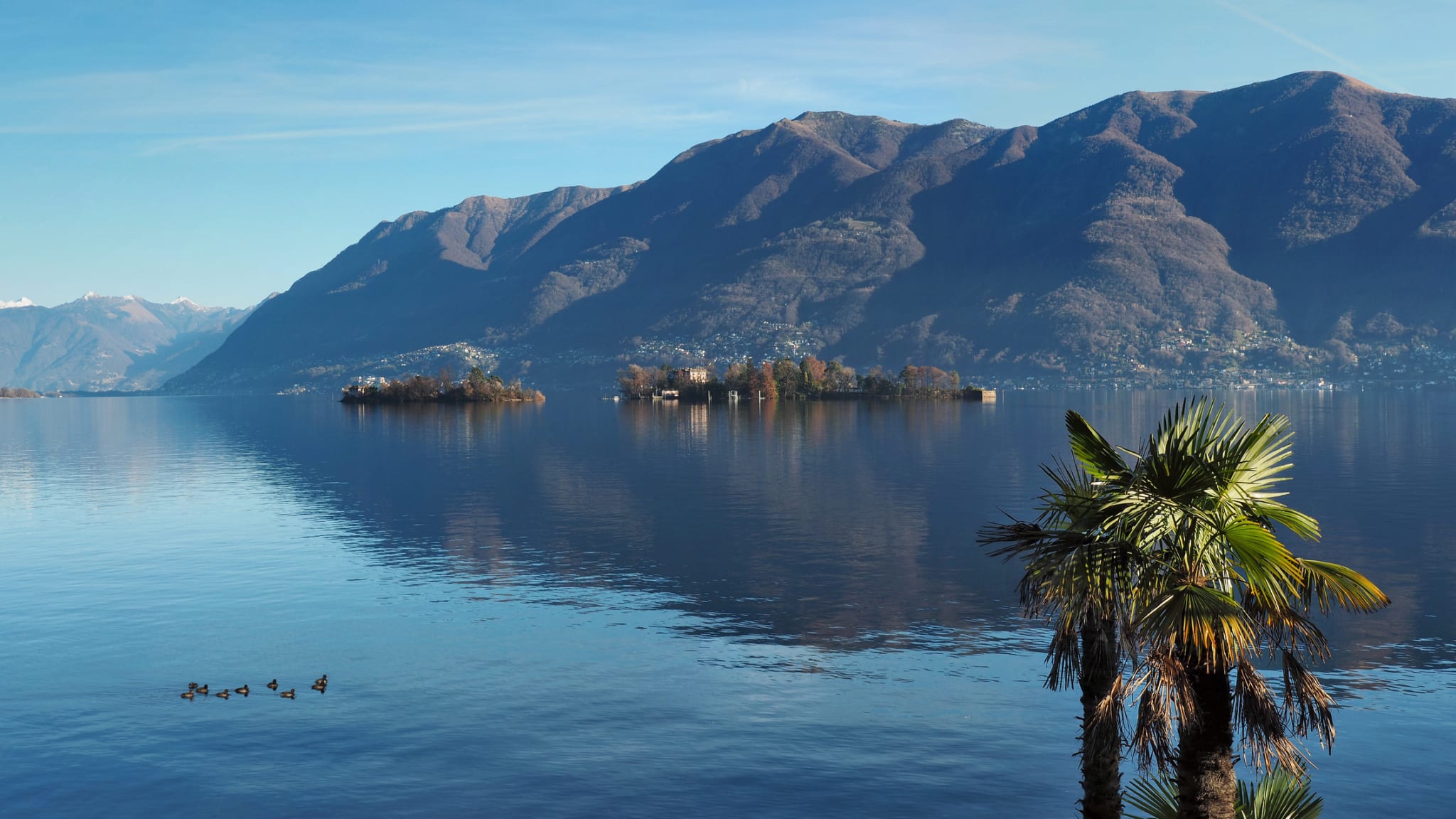 Schne Lago Maggiore Schweiz Fotosnull