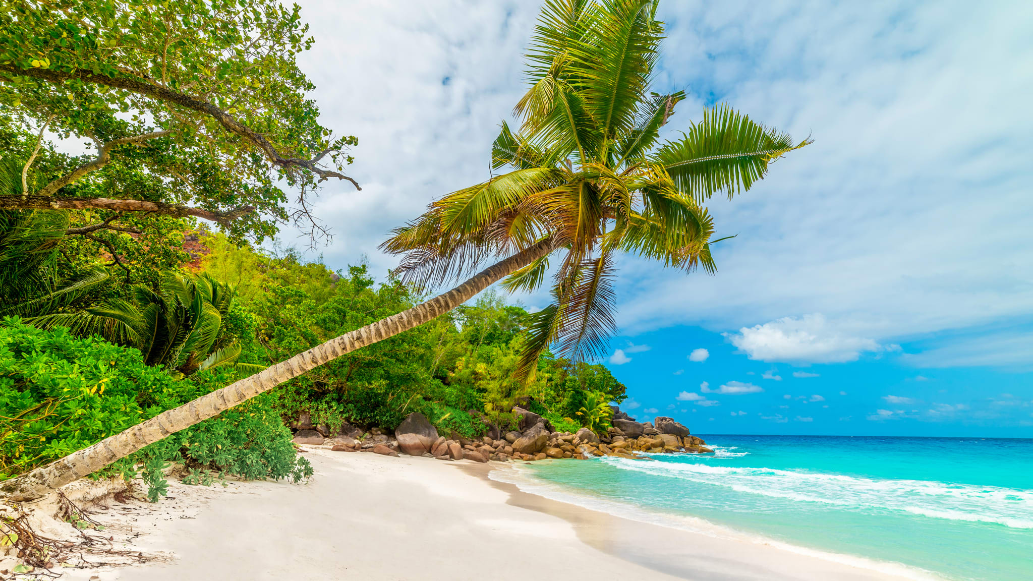 Die 10 schönsten Strände auf den Seychellen