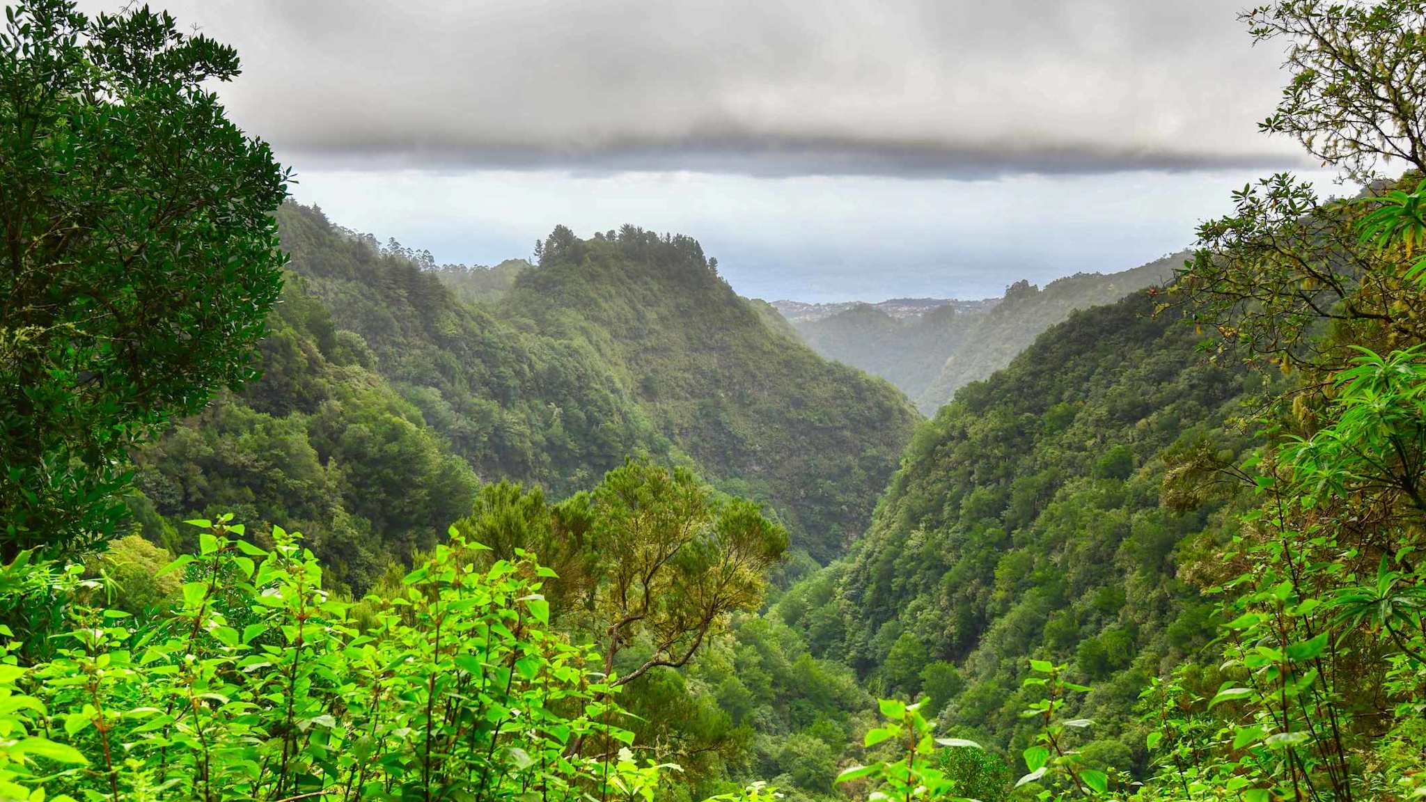 Die 10 schönsten Sehenswürdigkeiten auf Madeira