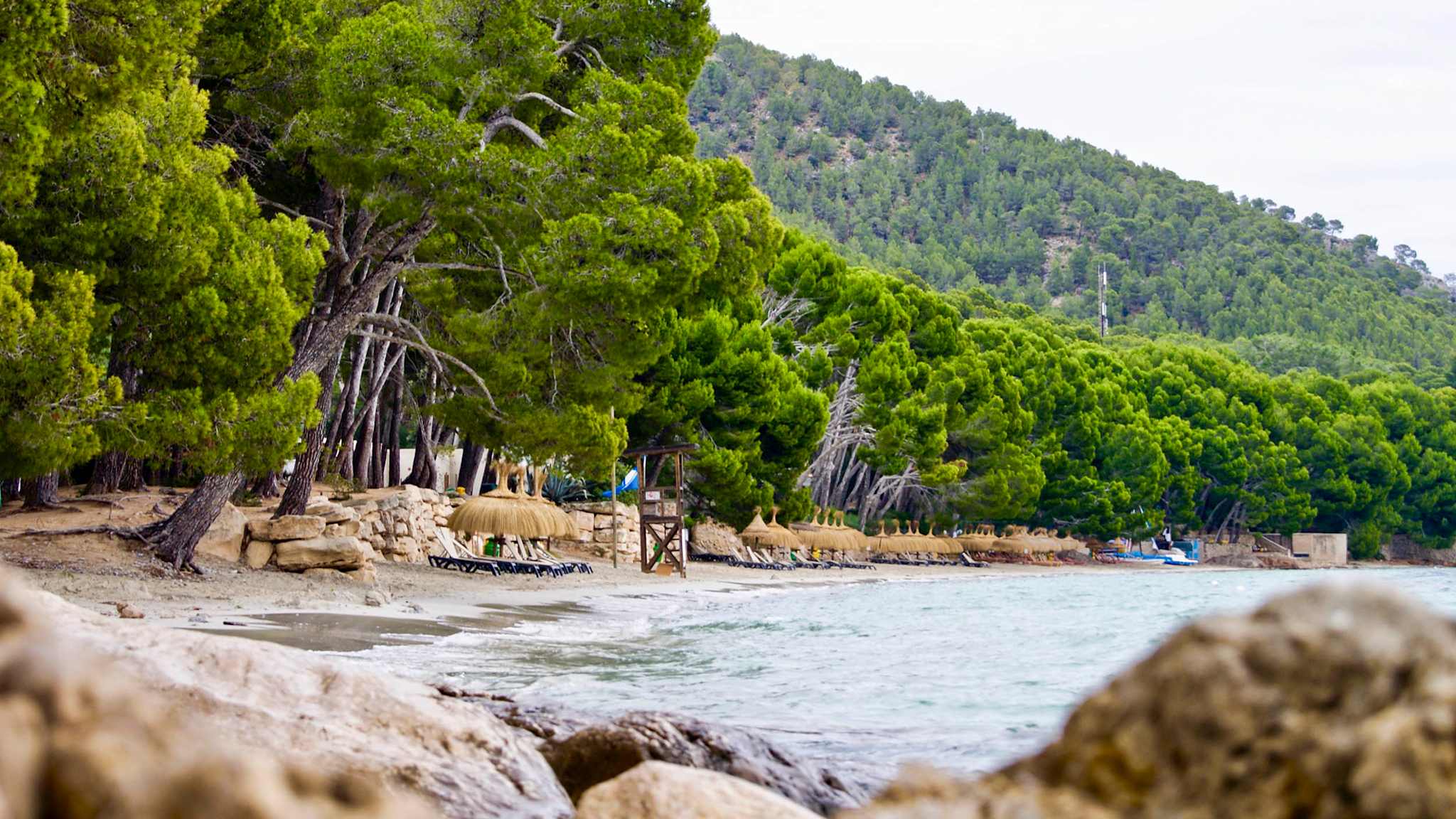 Playa de Formentor: Tipps, Highlights & Anreiseinfos