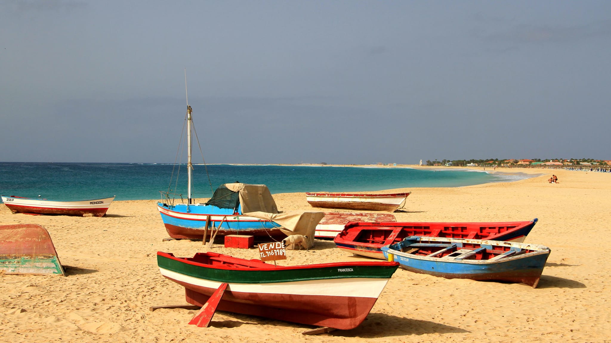 Von Elba bis Sansibar: 10 traumhafte Urlaubsinseln weltweit