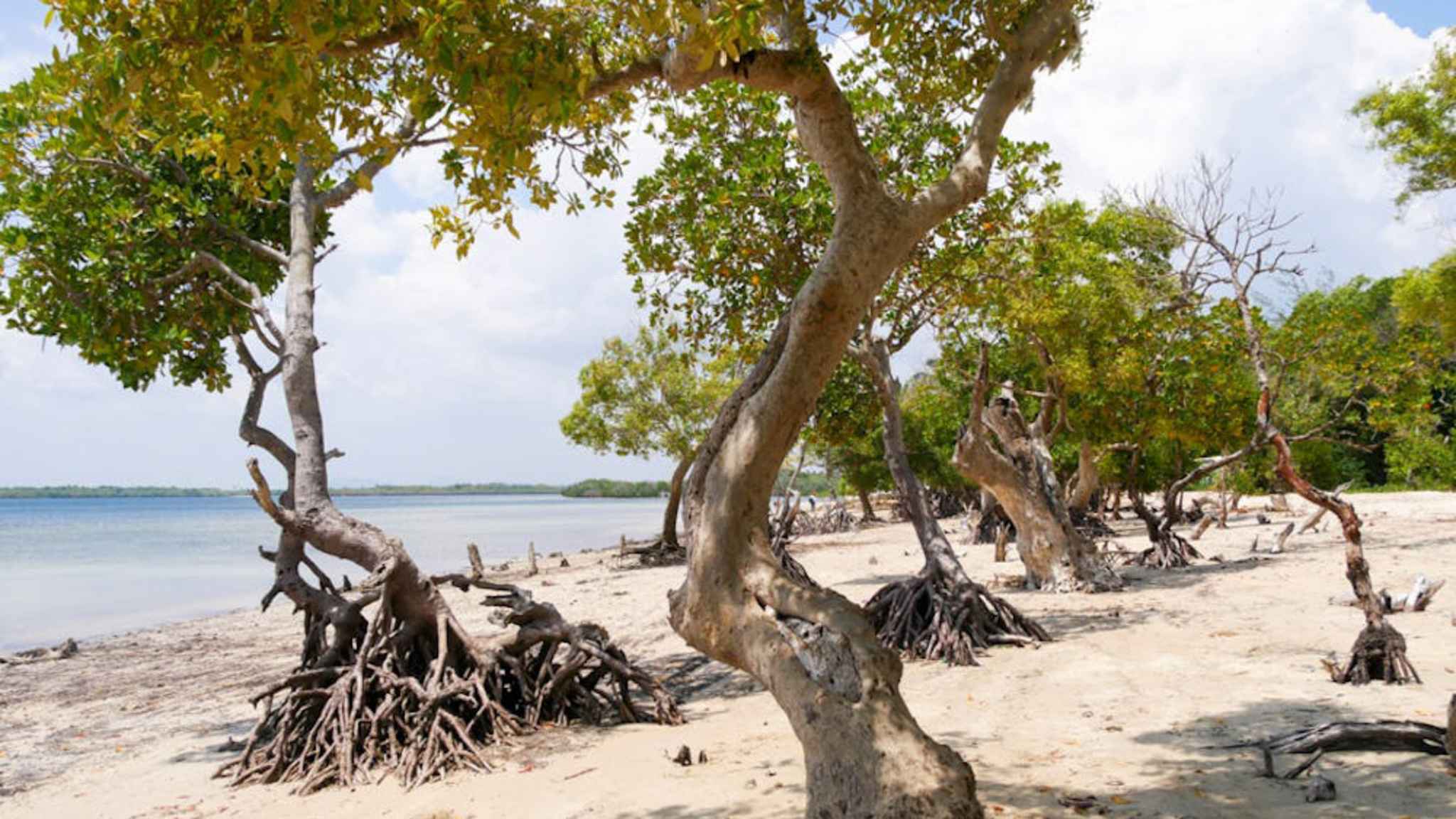 Funzi Island: Strand in Kenia