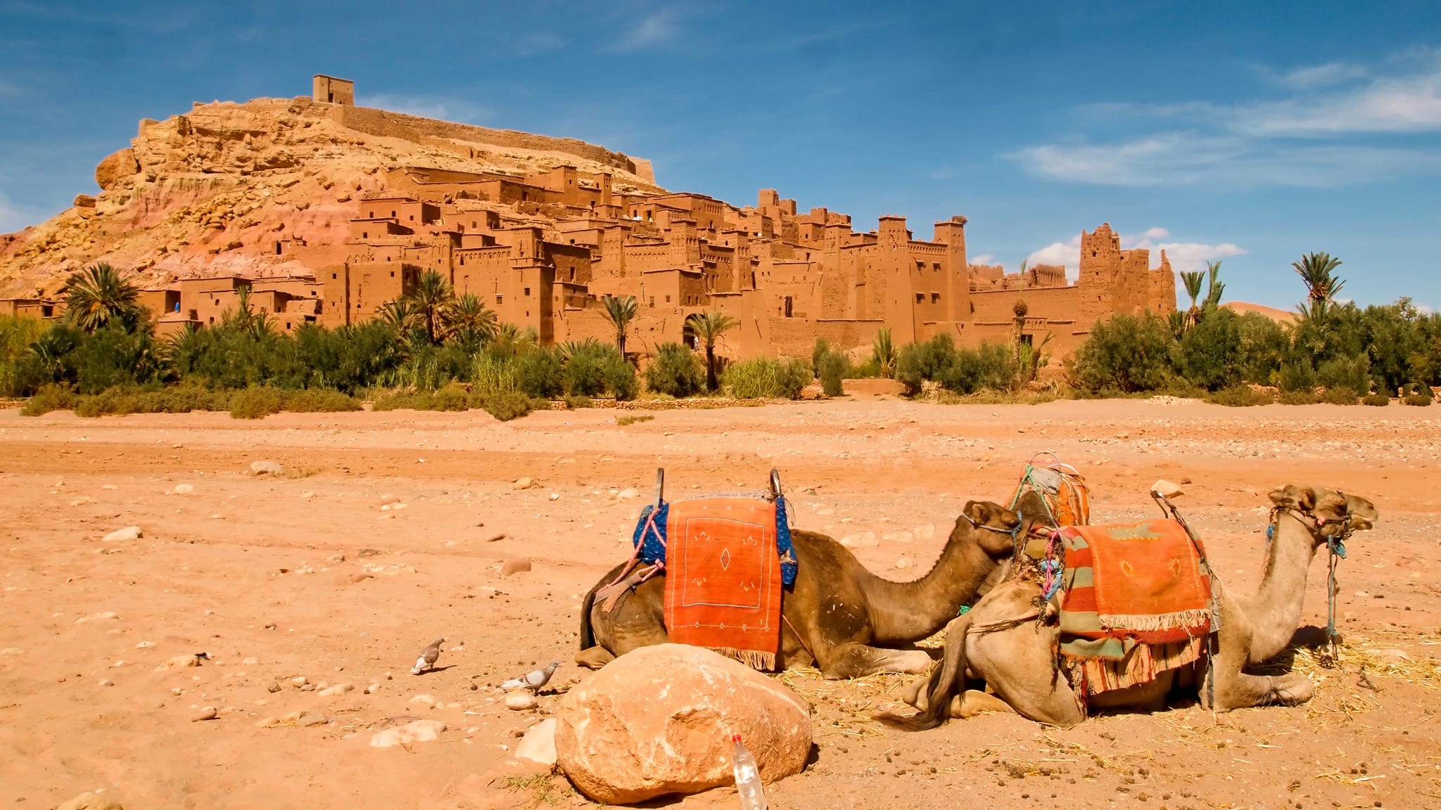 Marokko Urlaub • Günstig Urlaub buchen bei HolidayCheck