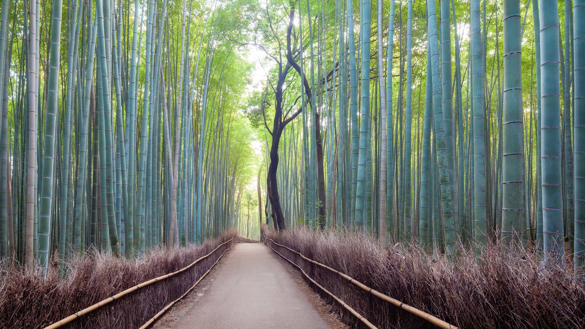 Fernreisen im September: Unsere Top‑Ziele & Spätsommer-Abenteuer