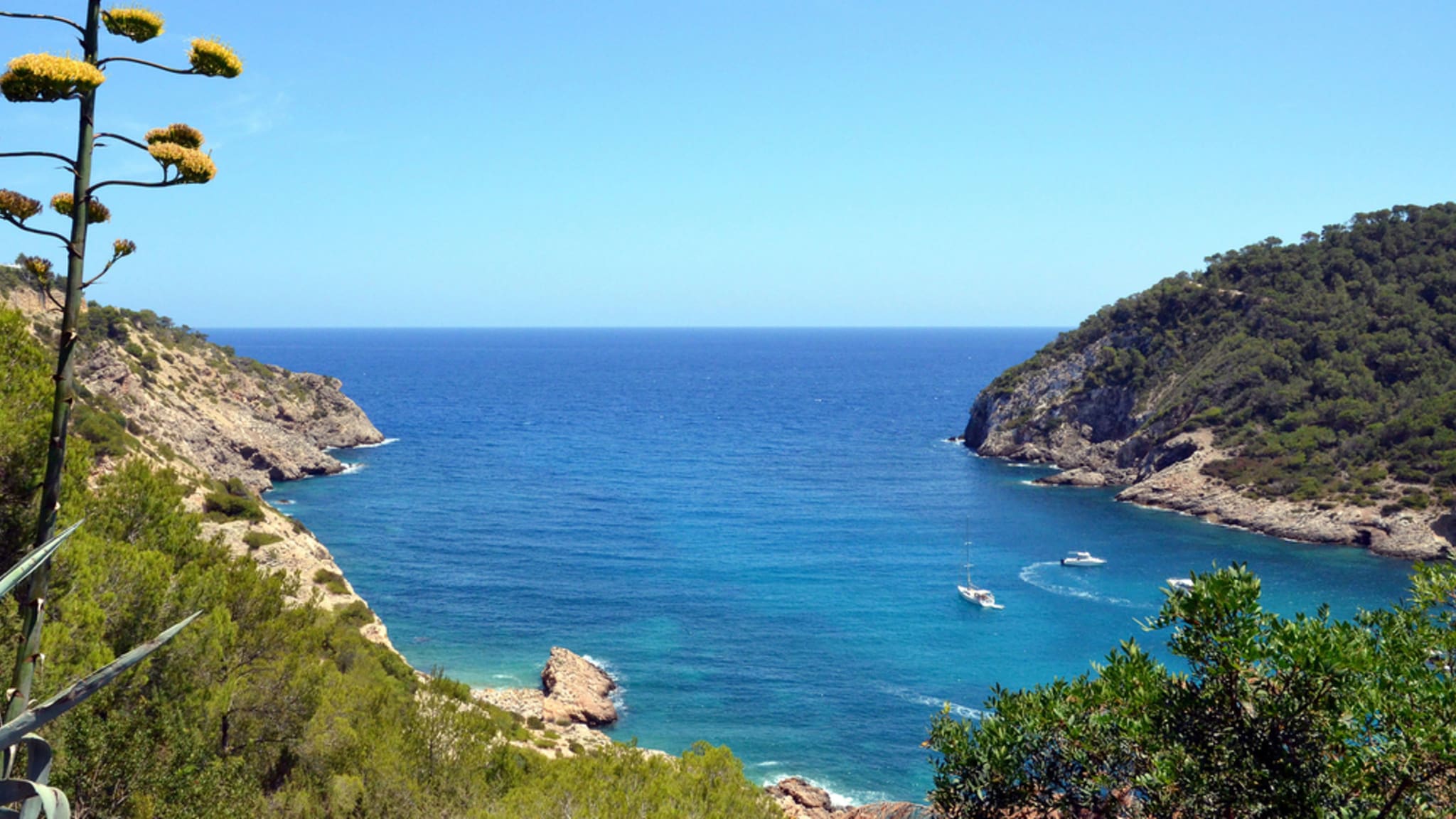 Cala Llonga, Strand auf Ibiza • HolidayCheck