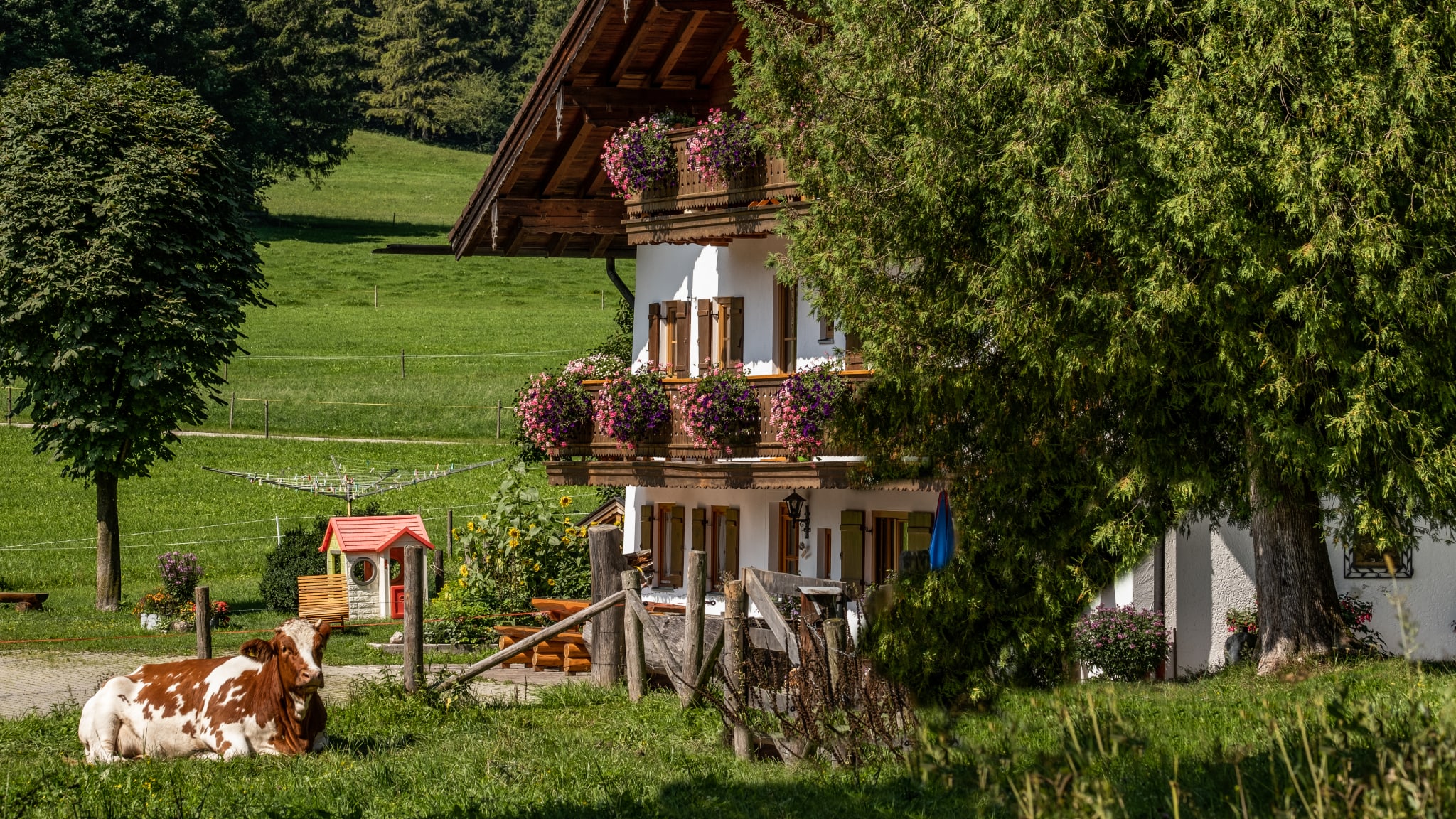 Urlaub auf dem Bauernhof in Deutschland: Die 10 besten Unterkünfte