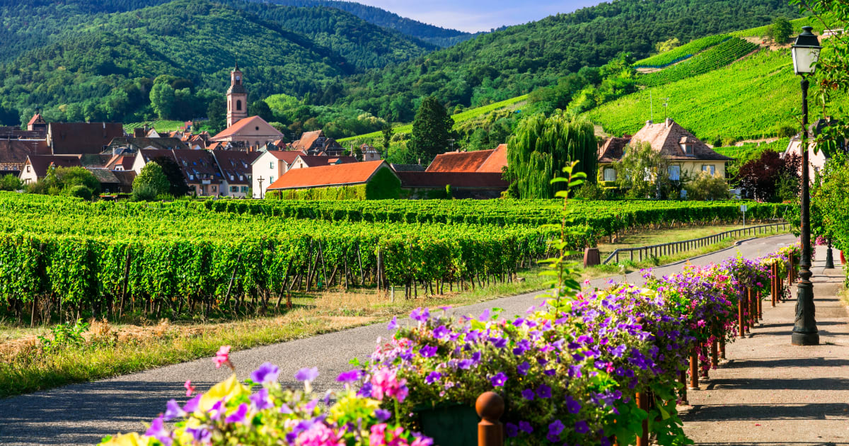 Elsass Urlaub 2026/2027 • Günstig buchen bei HolidayCheck
