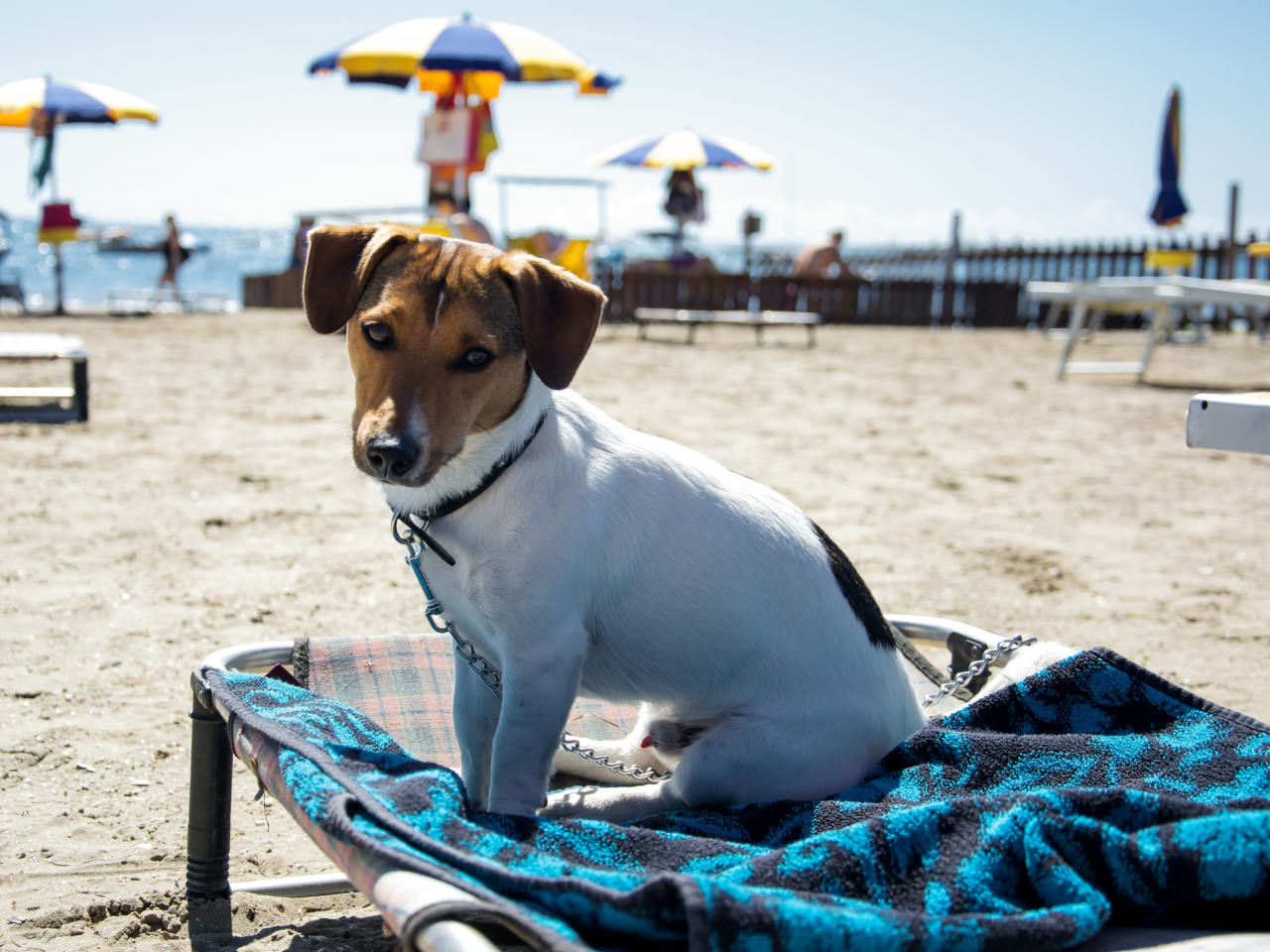 Familienurlaub: Die 10 besten Strände in Italien