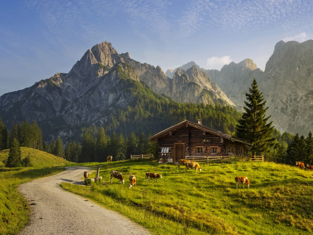 Natur pur: Die schönsten Nationalparks Deutschlands