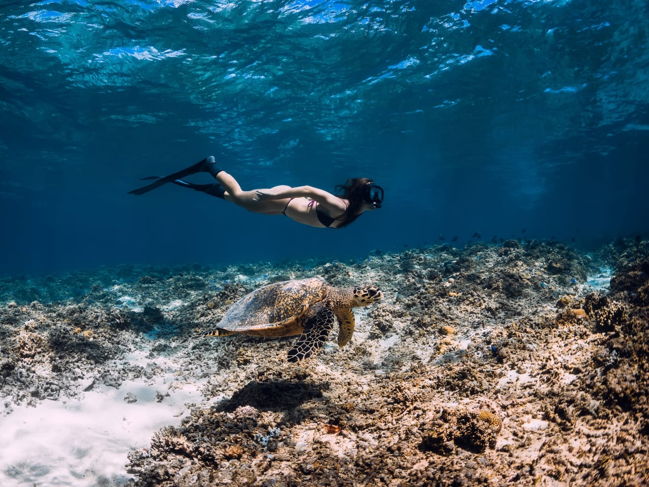 Hotel mit Vollpension: Was bedeutet das?