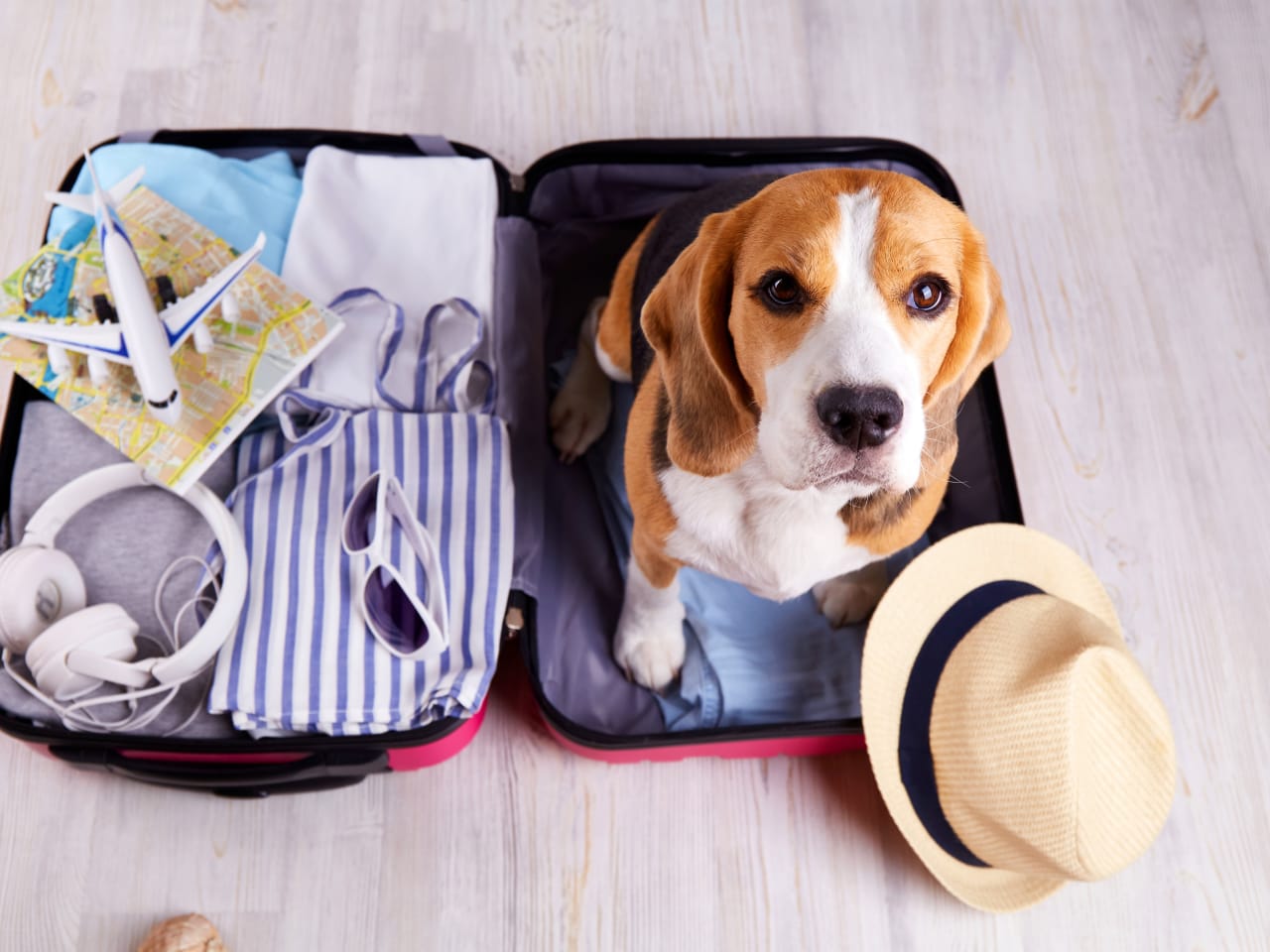 Zug zum Flug: Das musst du über Rail & Fly wissen