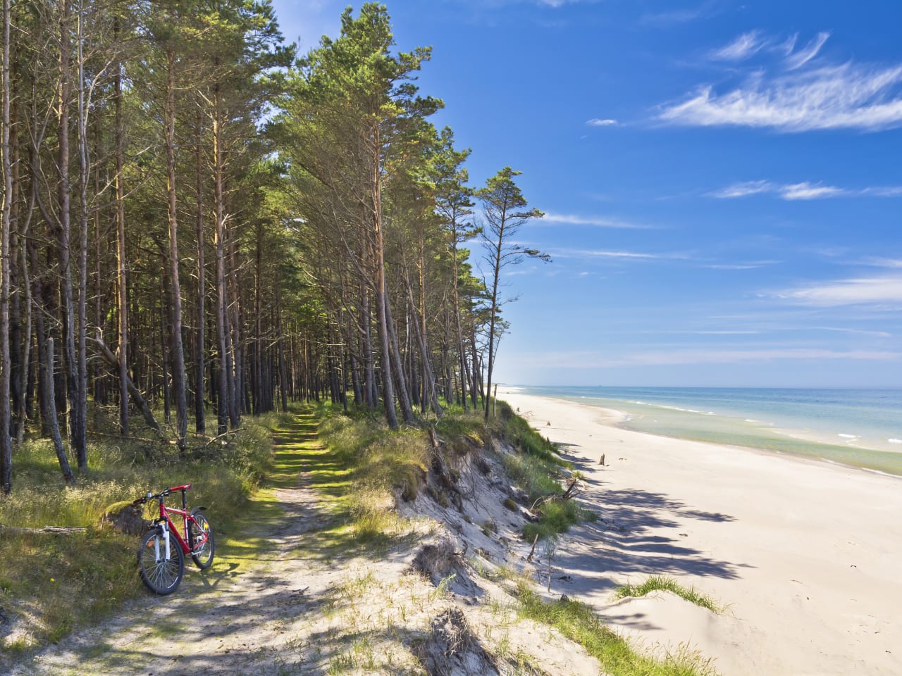 Die 8 besten Hundestrände in Polen