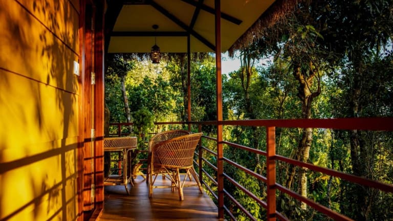 Coffee Cradle Wayanad Luxuorios Private Tree House - Inside 2 Acre ...