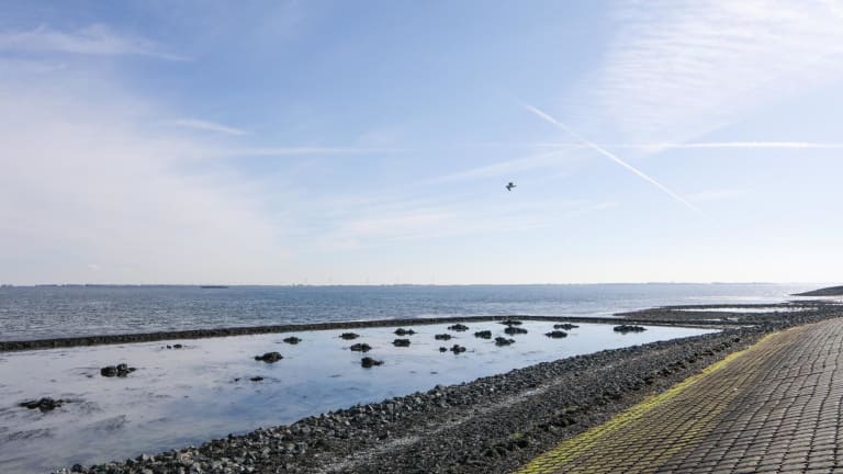 Strand Appartementen Wemeldinge (Wemeldinge): Alle Infos zum Hotel