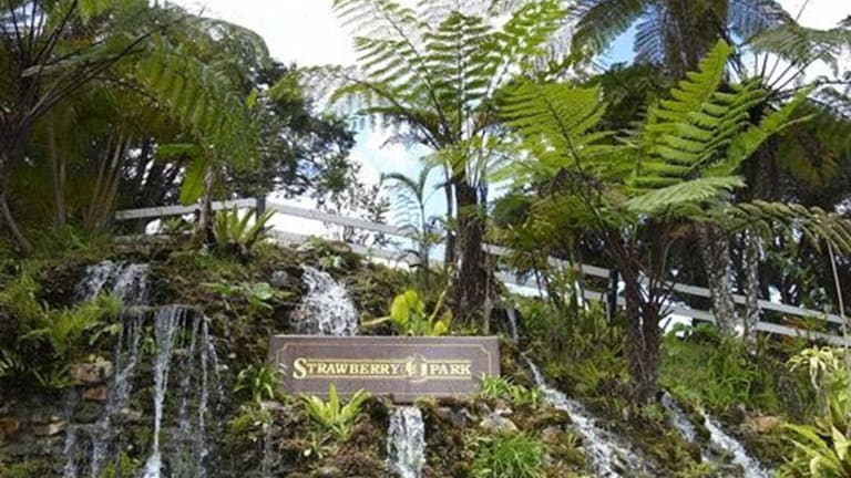 Hotel Strawberry Park Resort (Cameron Highlands): Alle Infos zum Hotel