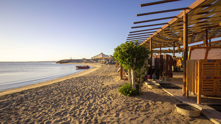 Marsa Shagra Village (Marsa Alam): Alle Infos zum Hotel