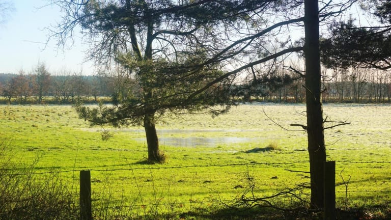 Pharos zur Seeve (Seevetal): Alle Infos zum Hotel