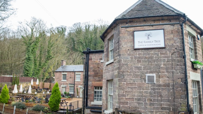 The Family Tree (Matlock): Alle Infos zum Hotel