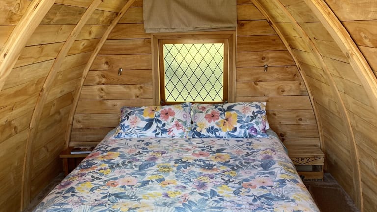 Tui Ridge Eco Cabins (Omokoroa): Alle Infos zum Hotel