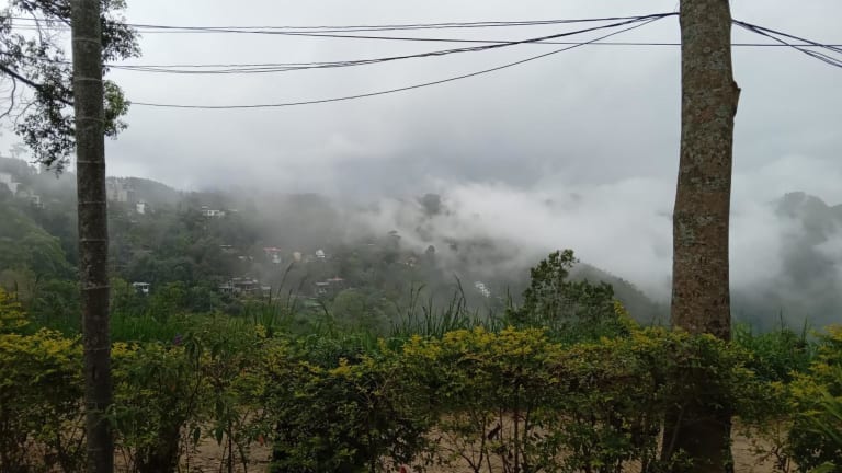 Ella Infinity View (Ella): Alle Infos zum Hotel