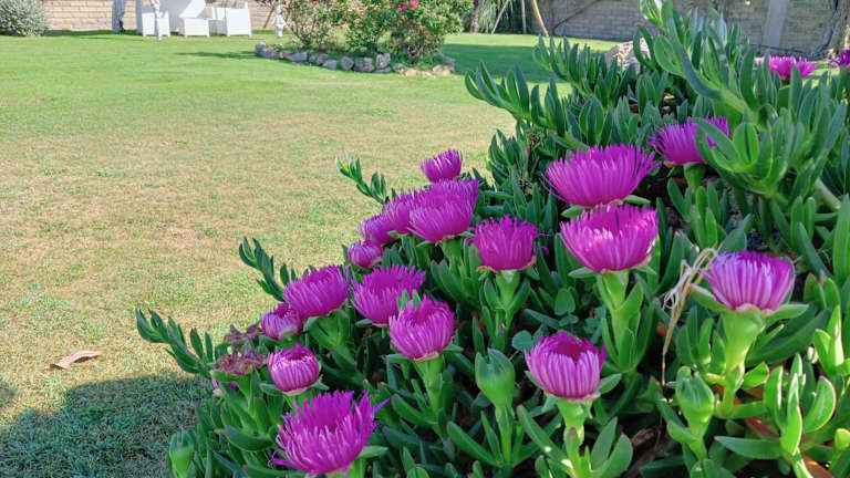 Elegance B&B (Ladispoli): Alle Infos zum Hotel