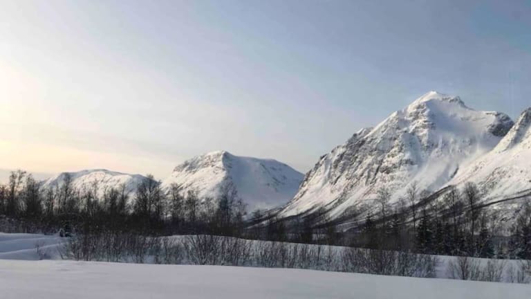 Mountainside Lodge - Breivikeidet (Tromso): Alle Infos zum Hotel