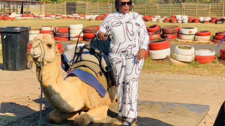 Ten Flags Theme Park (Rustenburg): Alle Infos zum Hotel