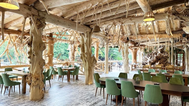 Conacul Radacinilor (Petroşani): Alle Infos zum Hotel