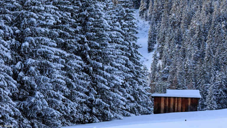 Haus Timmler (St. Anton am Arlberg): Alle Infos zum Hotel