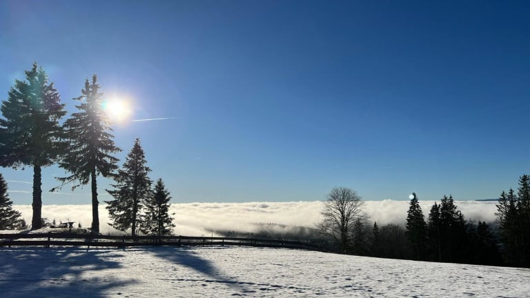 Naturfreundehaus Brend (Furtwangen): Alle Infos zum Hotel