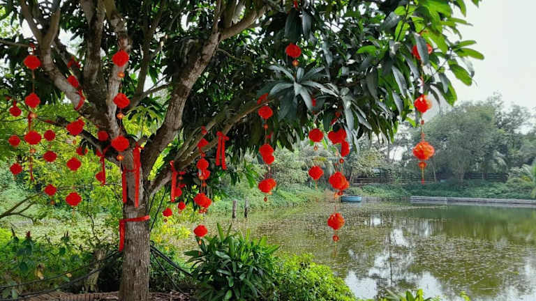 LUX HOME Phước Hải (Long Hai): Alle Infos zum Hotel