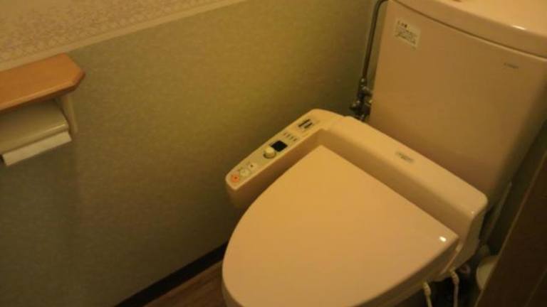 Lodge Ueno Ski (Nozawa Onsen): Alle Infos zum Hotel