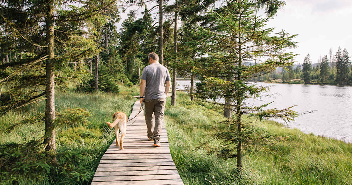 Schöne Wanderwege Mit Hund In Der Nähe
