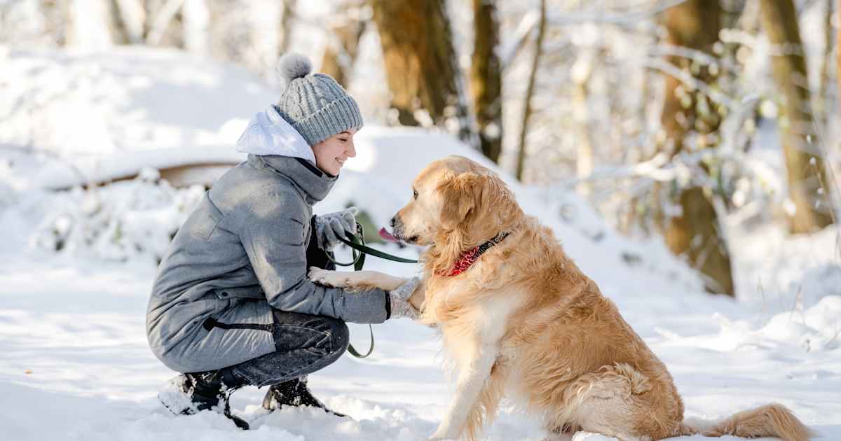 Silvester Mit Hund Ohne Feuerwerk Hotel