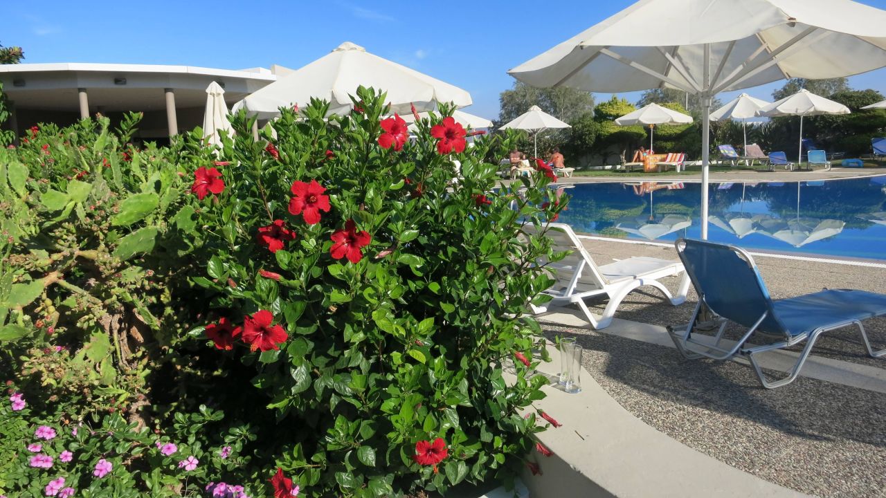 Hotel Kos Palace in Tigaki • HolidayCheck | Kos Griechenland
