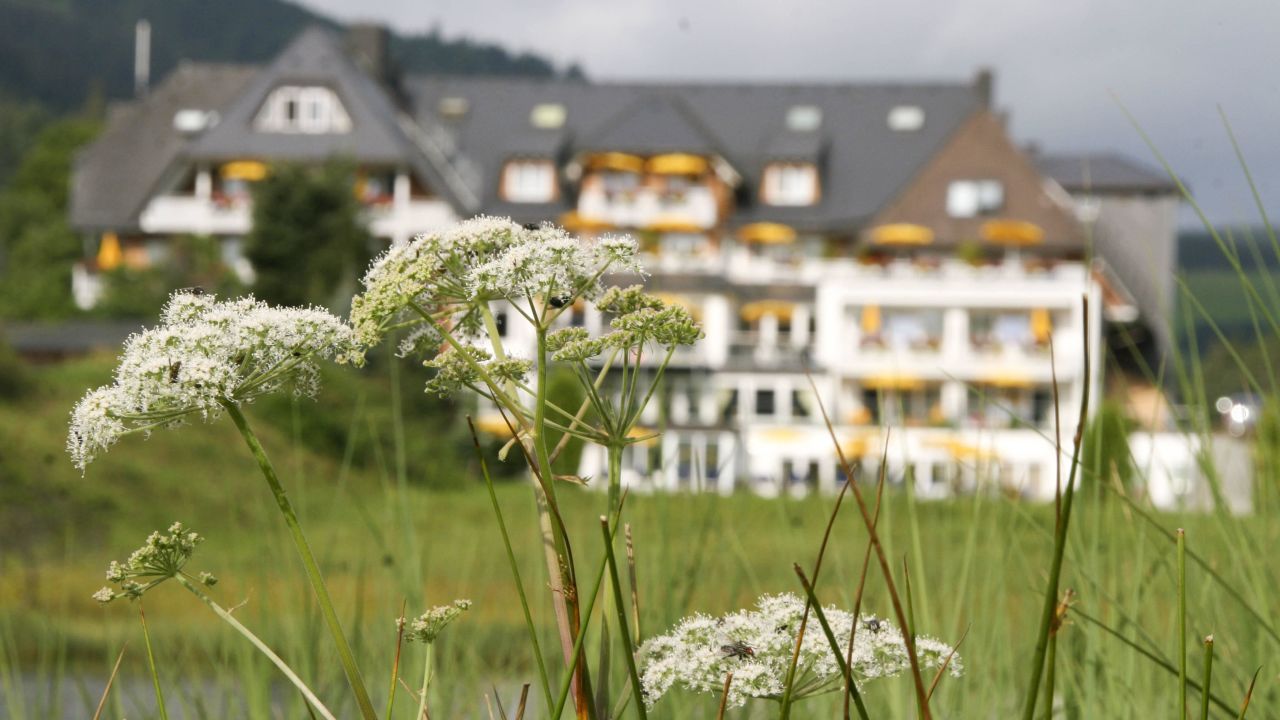 Hotel Reppert (Hinterzarten) • HolidayCheck (Baden-Württemberg ...