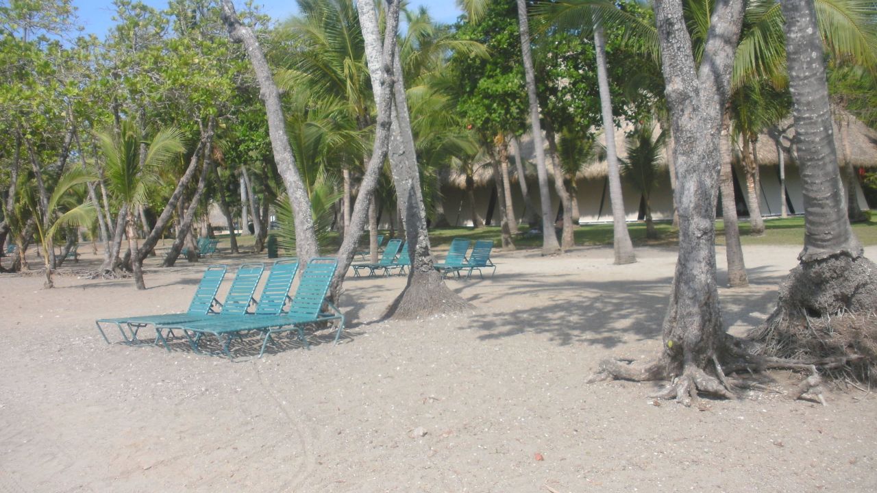 Barceló Tambor in Playa Tambor • HolidayCheck | Costa Rica Pazifikküste ...