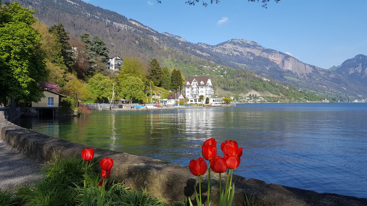 Central am See Weggis (Weggis) • HolidayCheck (Kanton Luzern | Schweiz)