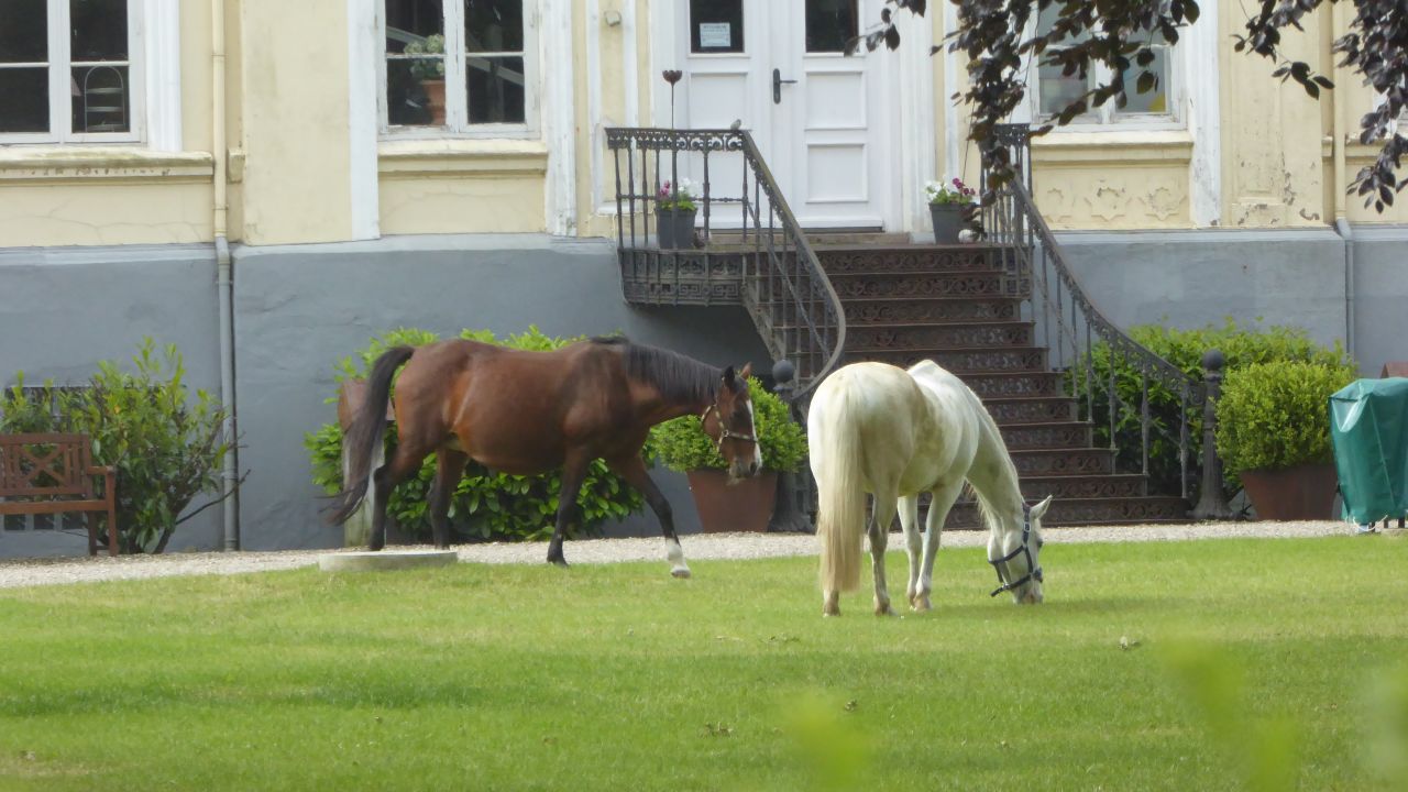 Gut Oestergaard FeWo (Steinberg) • HolidayCheck (Schleswig-Holstein ...