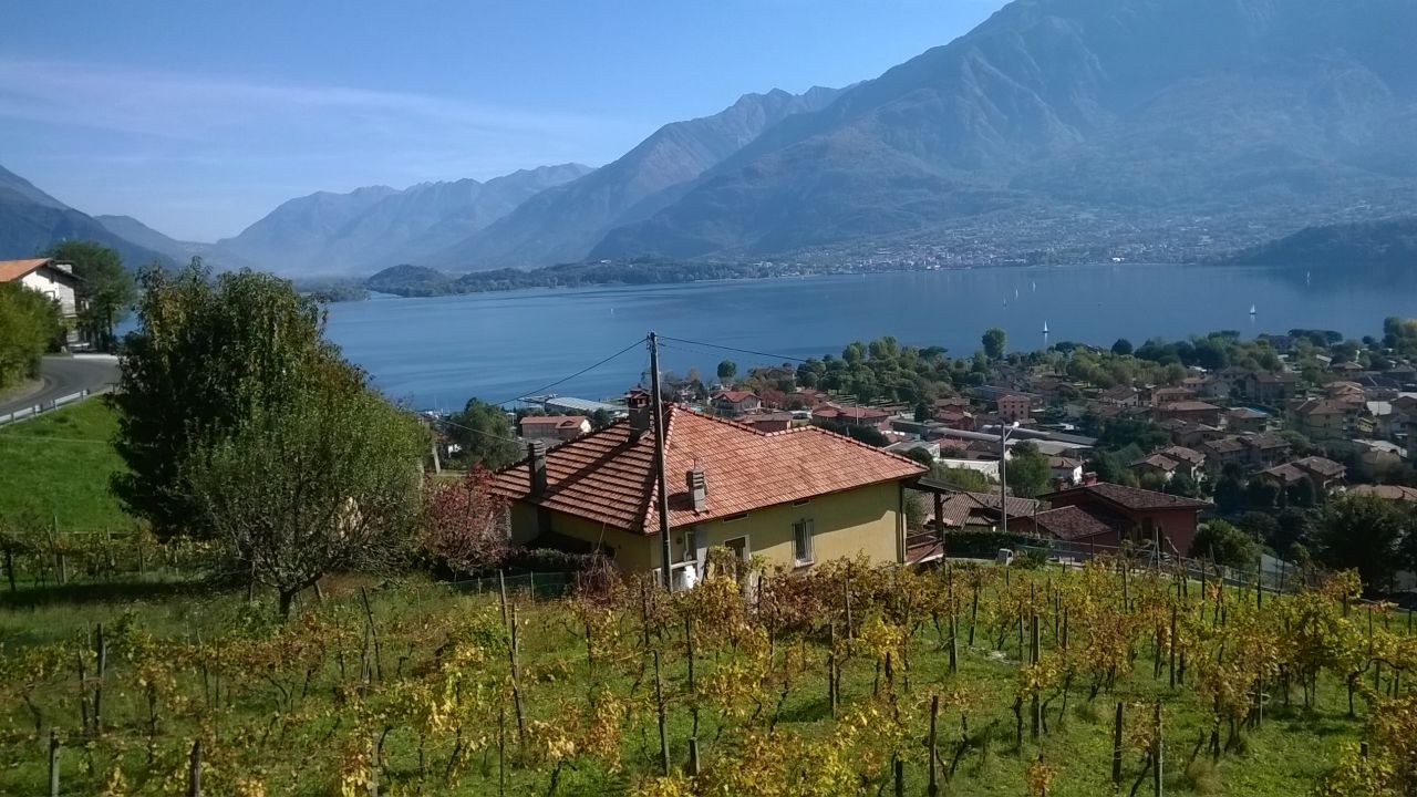 Hotel Vischi (Domaso) • HolidayCheck (Lombardei | Italien)