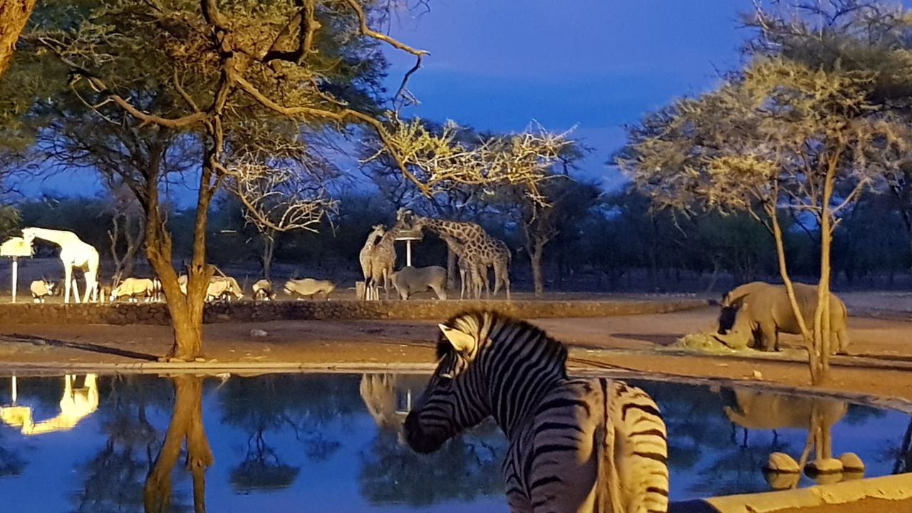 Omaruru Game Lodge (Omaruru) • HolidayCheck (Erongo | Namibia)